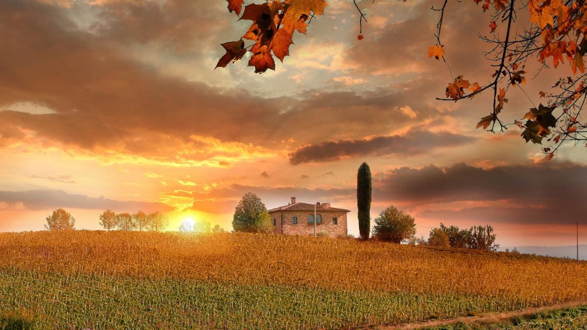 Amongst Romans - Tips For Travelling In Italy